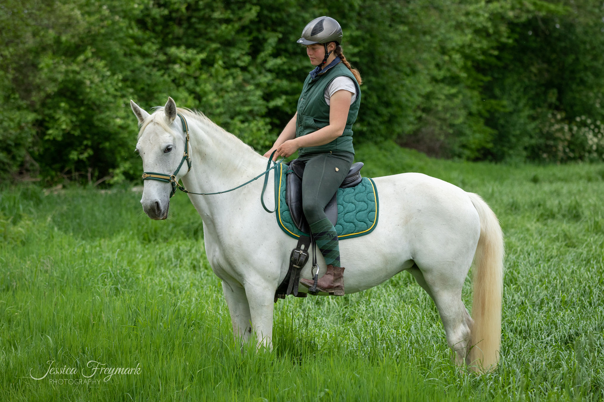 Zeit und Geduld beim Anreiten